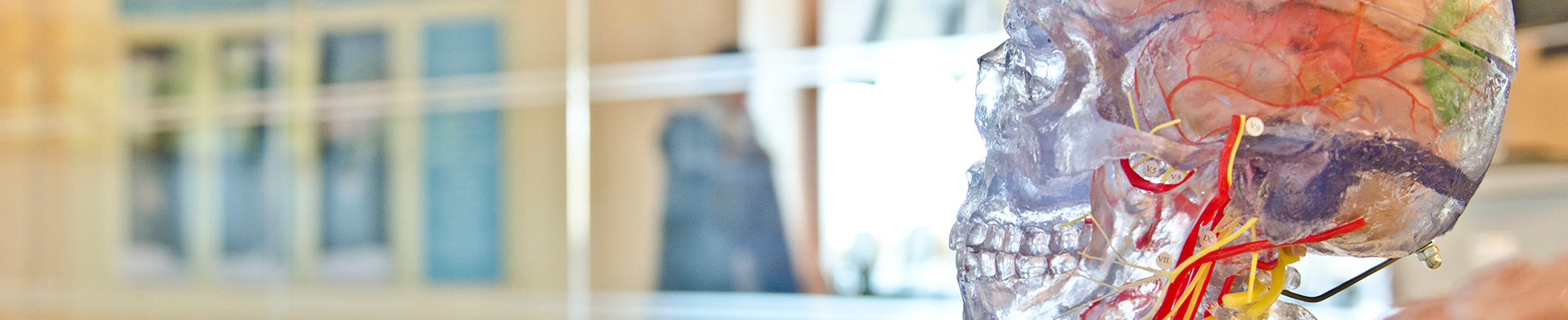 Pre-Med & Pre-Health Sciences Programs | Pre-Health Program