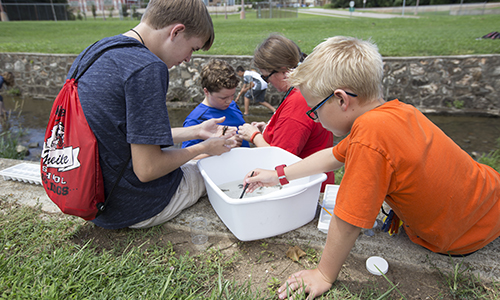 The Center for Gifted Education | Gifted Education